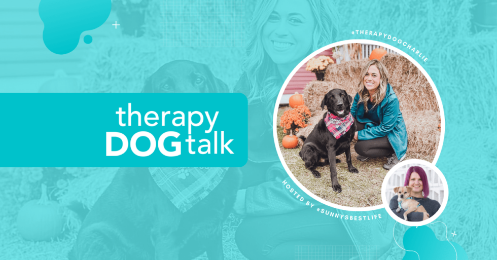 #008: From shelter dog to school Therapy Dog with Erica and Charlie ...