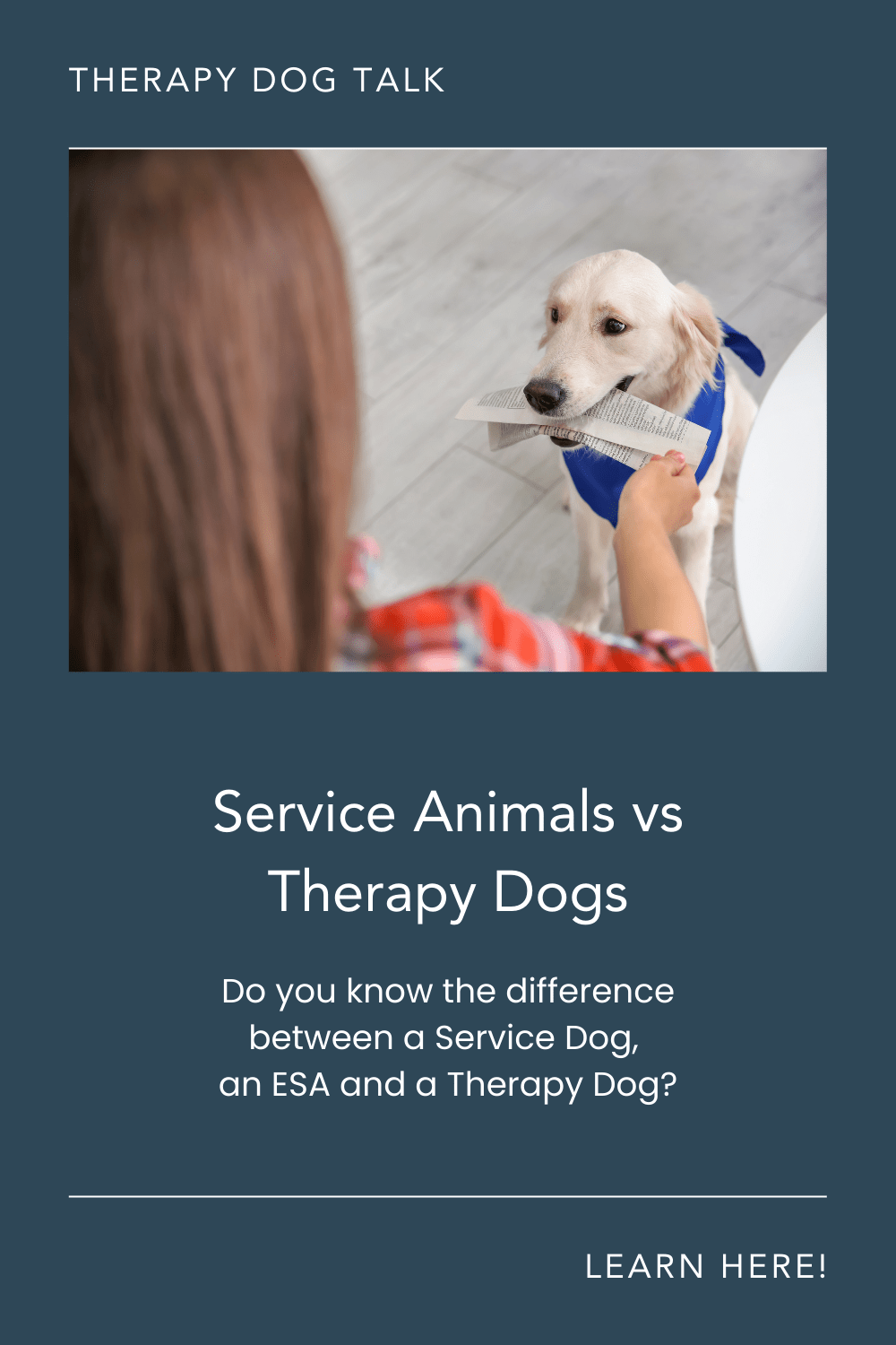What's the difference between a Service Dog, ESA, and Therapy Dog?