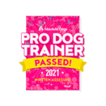 Life Skills for Therapy Dog Teams | Sherrie Rohde