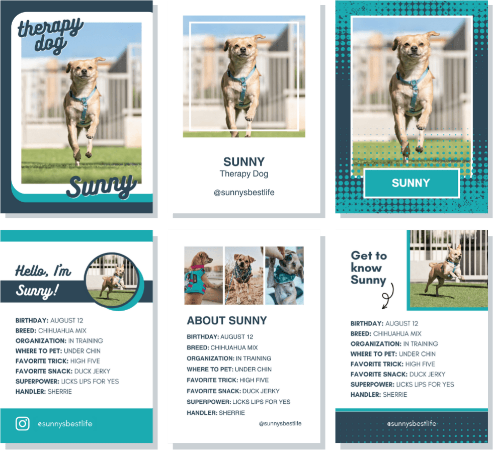 Therapy Dog Resources | Sherrie Rohde