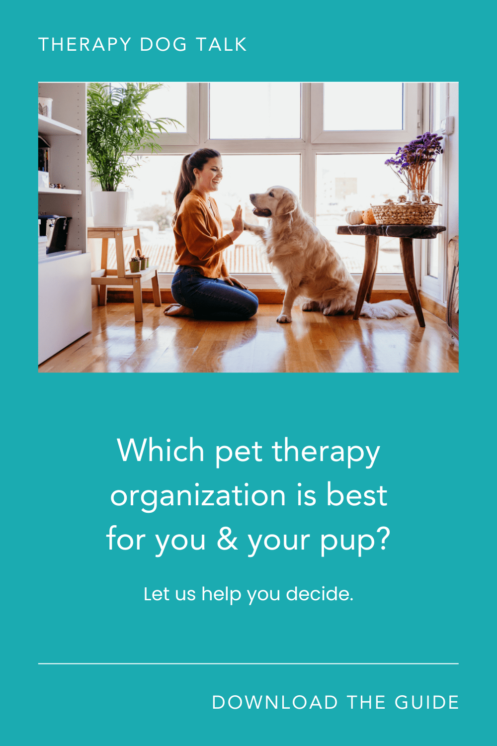 How to get started as a Therapy Dog team | Sherrie Rohde