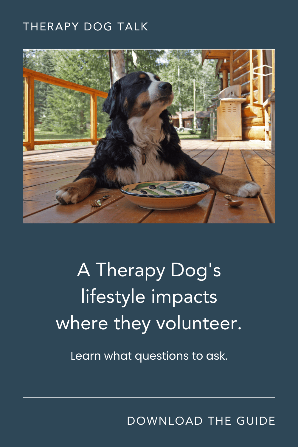 How to get started as a Therapy Dog team | Sherrie Rohde