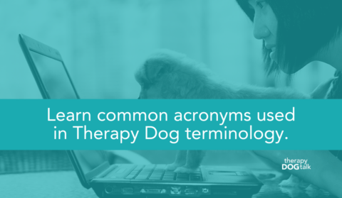 Understanding Therapy Dog Terminology | Sherrie Rohde