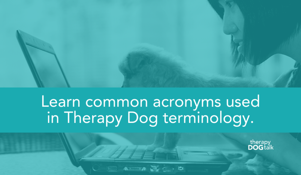 Understanding Therapy Dog Terminology | Sherrie Rohde