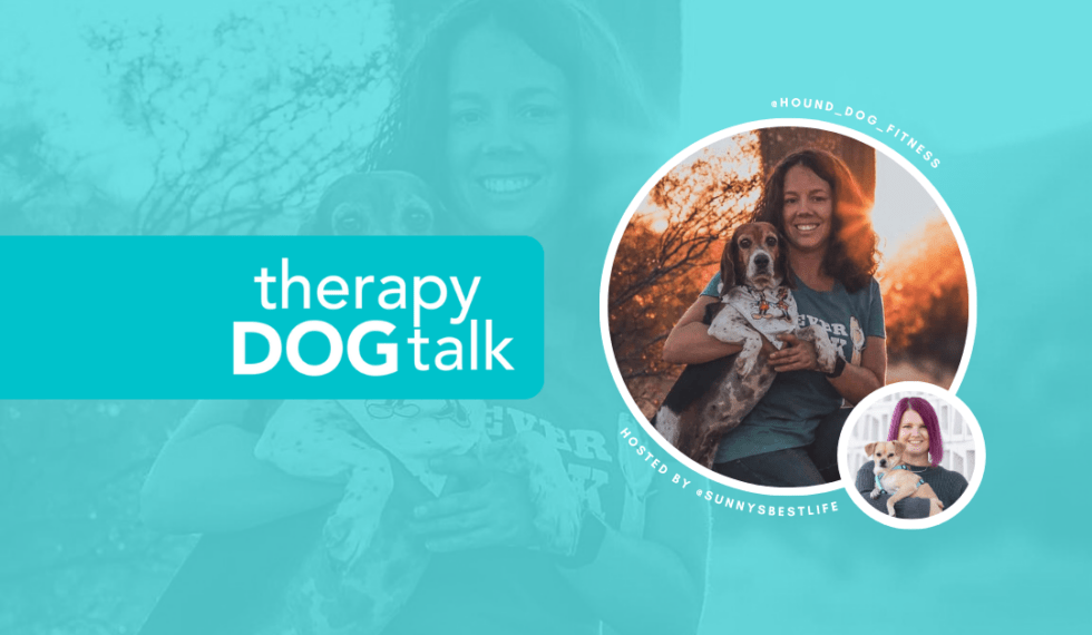 National Beagle Day with Cheyanne, Mardi and Tiana | Sherrie Rohde