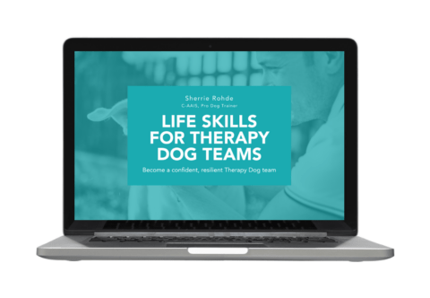 Life Skills for Therapy Dog Teams | Sherrie Rohde